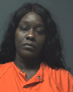 Inmate Roster - Page 20 Current Inmates Booking Date Descending ...