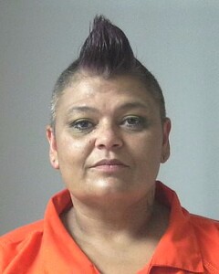 Inmate Roster - Page 4 Current Inmates Booking Date Descending ...